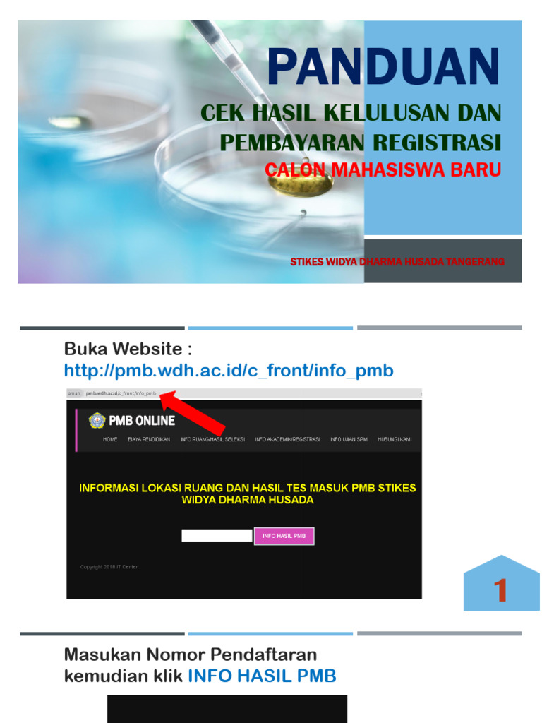 Panduan Cek Hasil Dan Pembayaran Registrasi | PDF