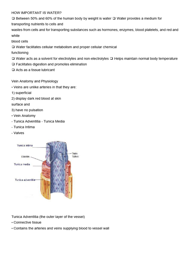 IV THERAPY | PDF | Intravenous Therapy | Osmosis