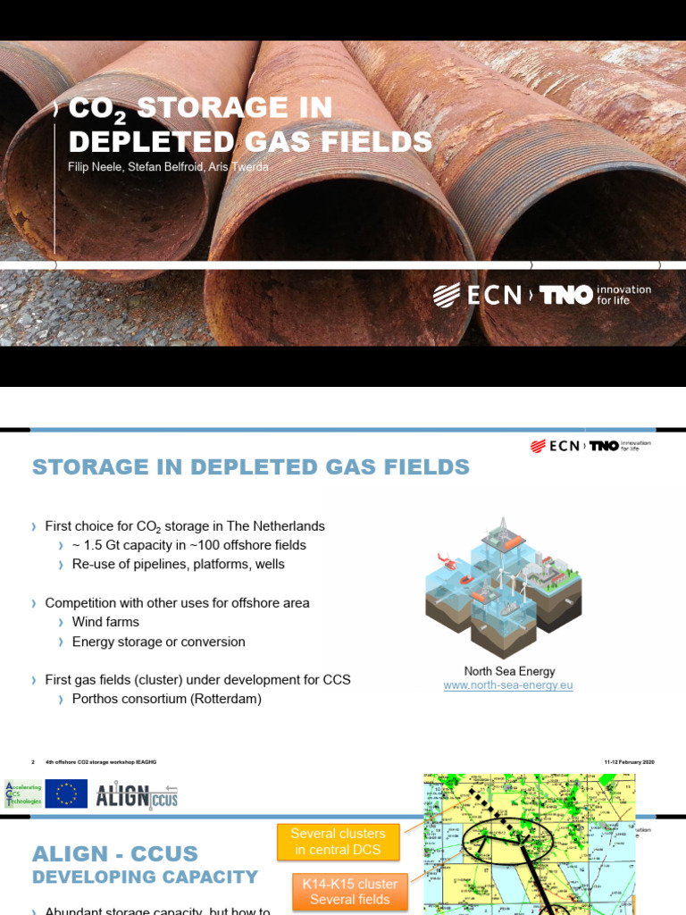 CO2 Storage Solutions in Depleted Gas Fields | PDF | Petroleum ...