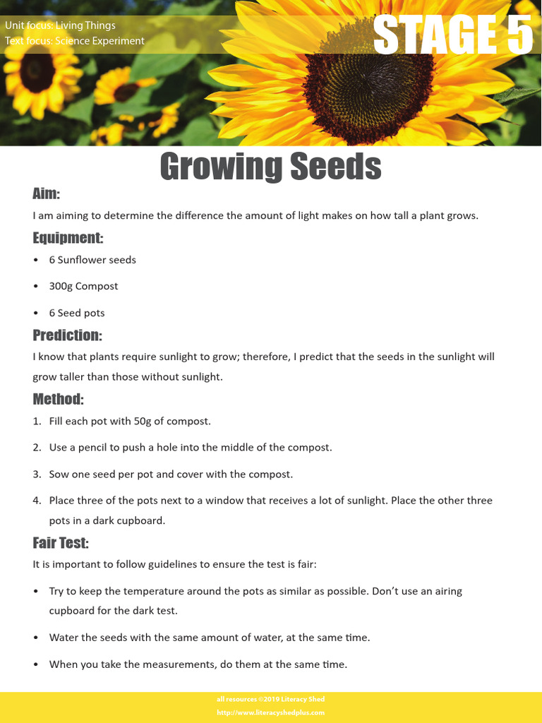 Growing_Seeds_Science_Experiment_Stage_5_Comp_-_Comprehension | PDF ...