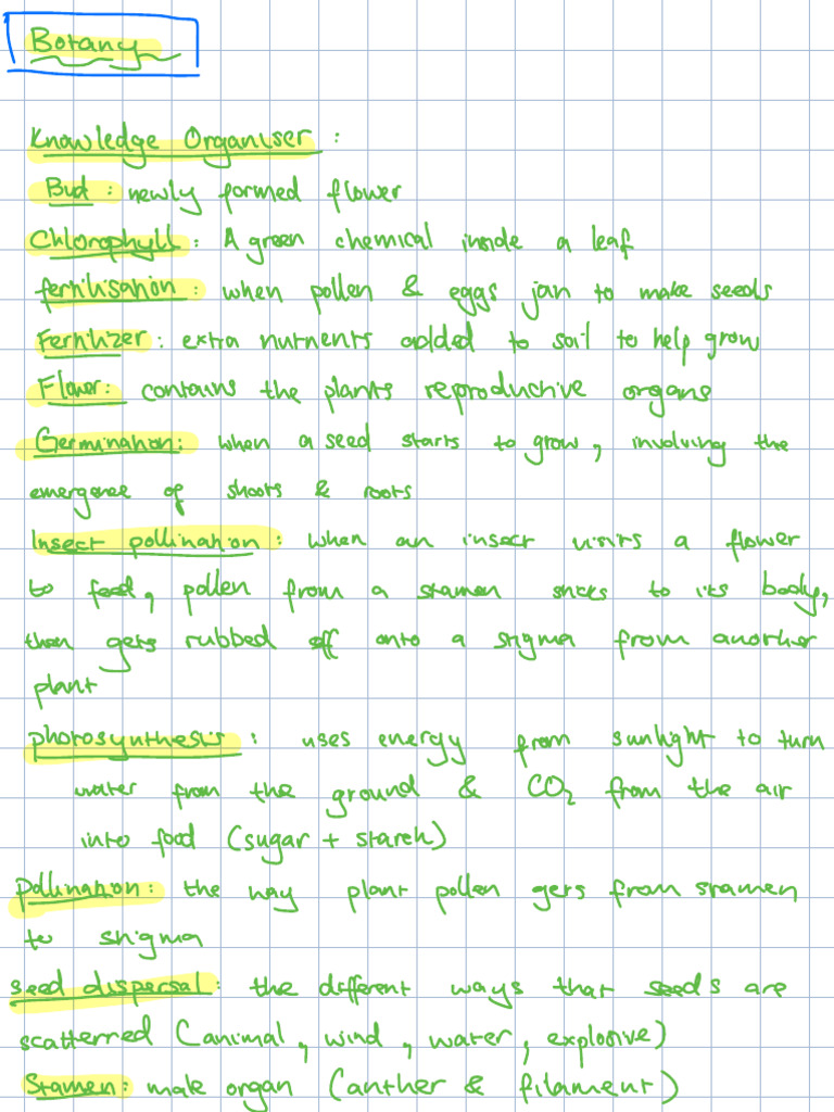 Plant Reproduction and Growth Processes | PDF | Seed | Flowers