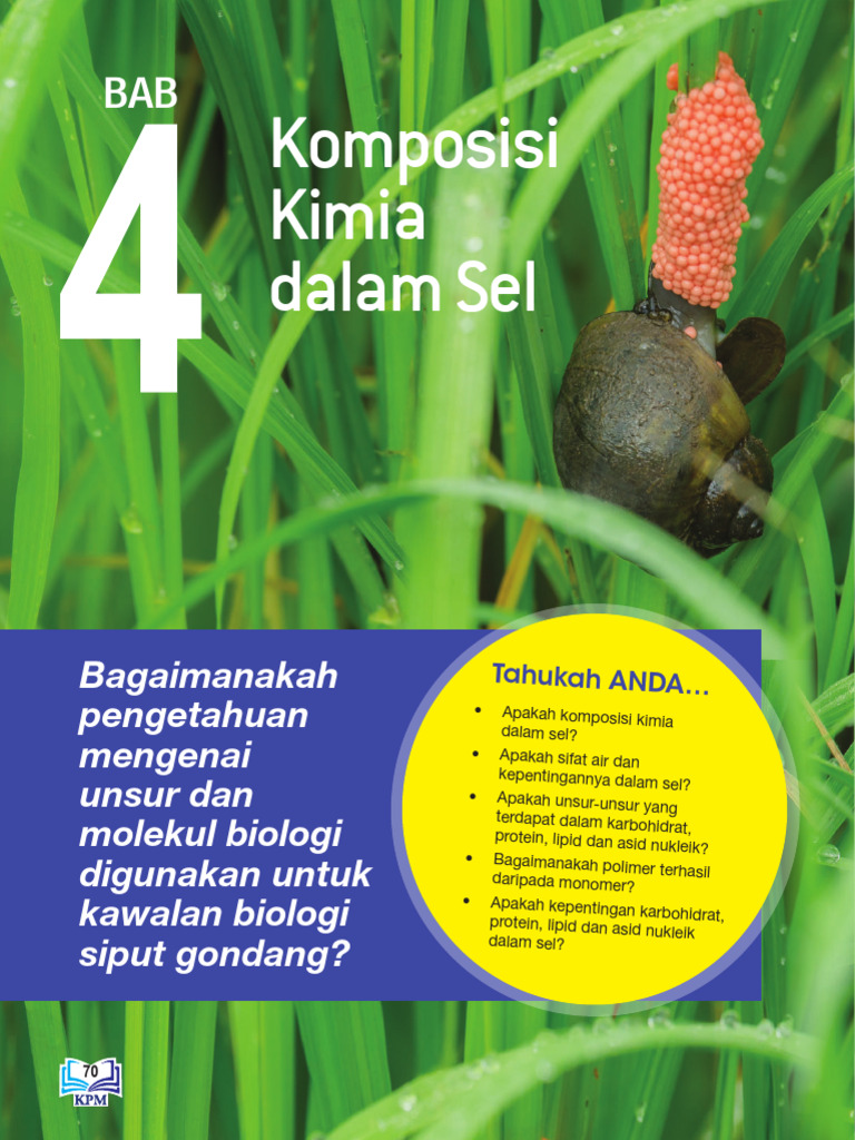 Bio t4 Bab 04 | PDF