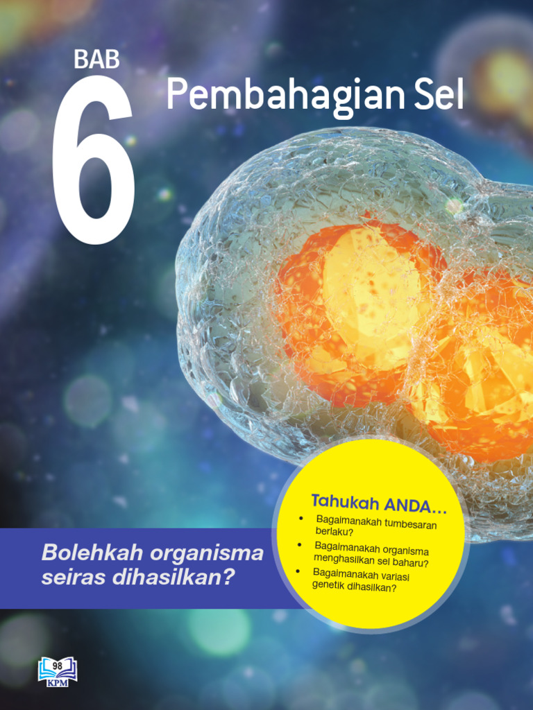 Bio t4 Bab 06 | PDF