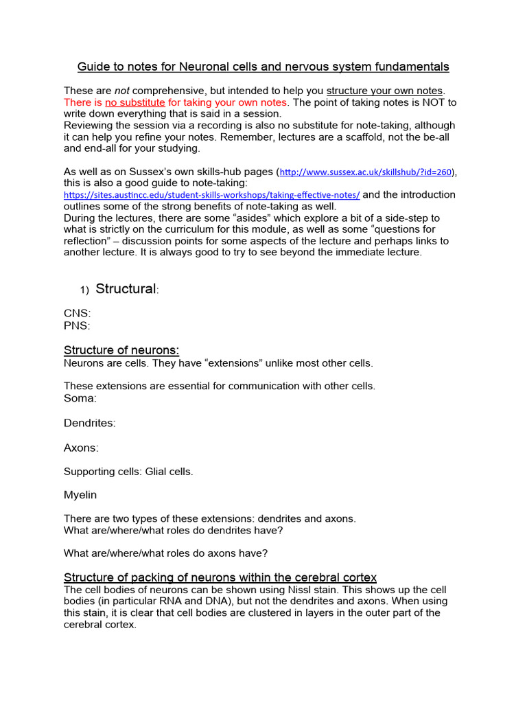Neuroscience Note-Taking Guide | PDF | Action Potential | Chemical Synapse