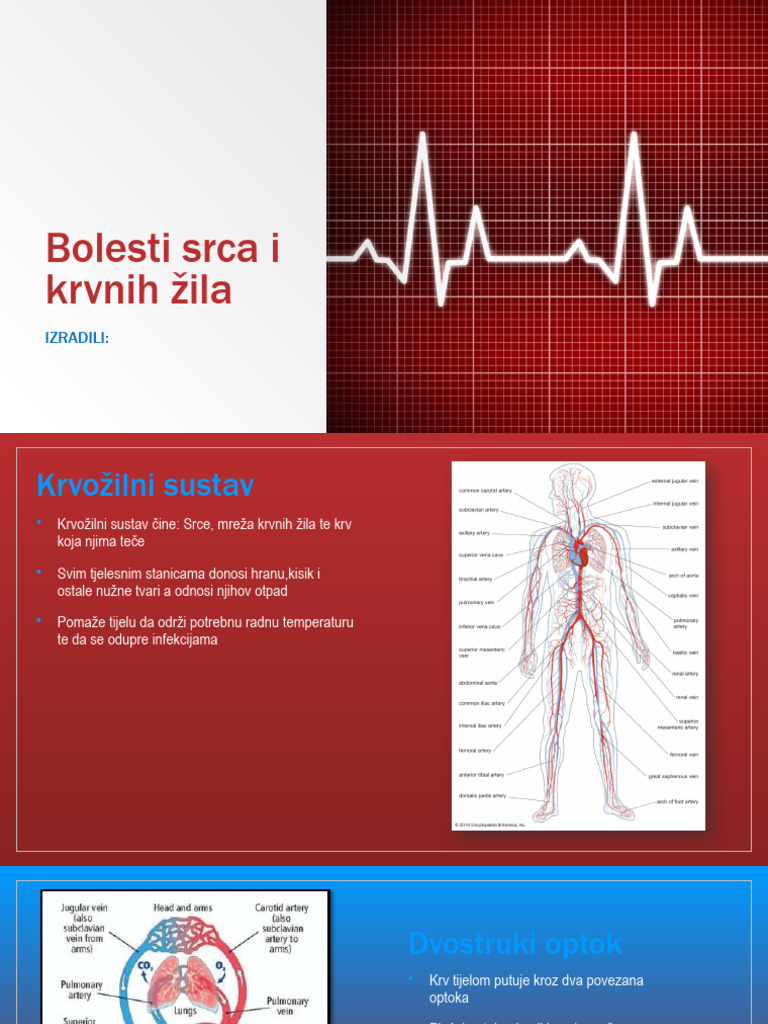 Bolesti Srca I Krvnih Žila | PDF