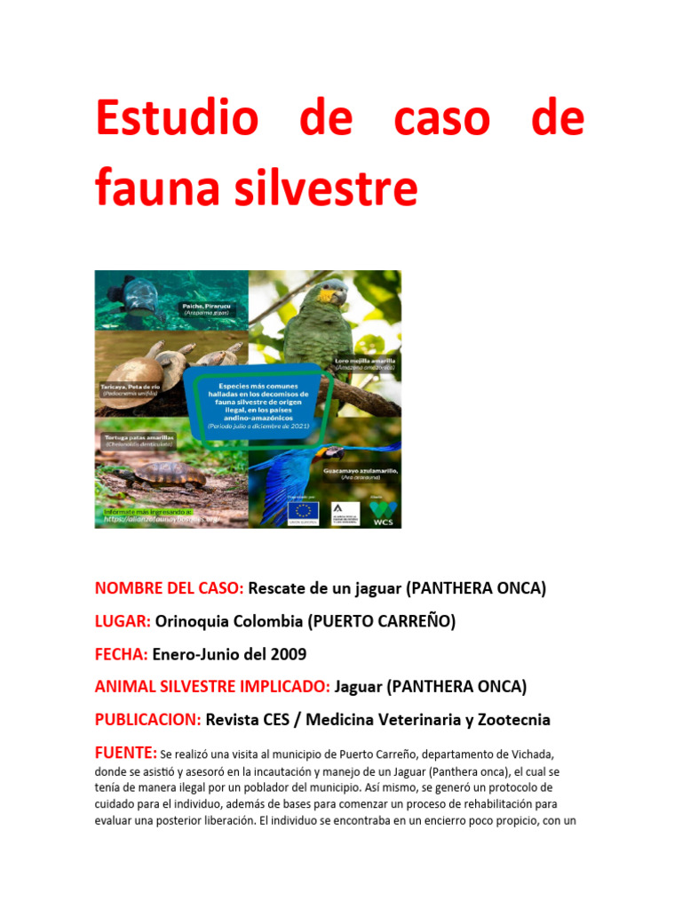 Estudio de Caso de Fauna Silvestre | PDF
