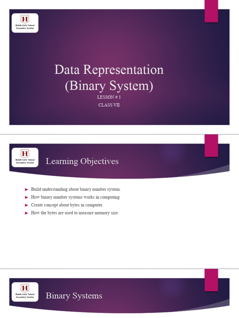 VII Data Representation Lecture 1 | PDF | Byte | Bit
