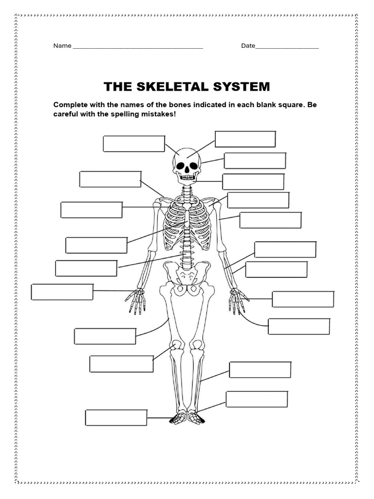 Skeleton 240321 182241 | PDF
