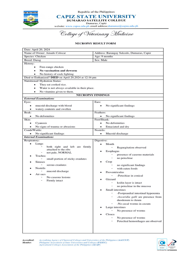 Capsu CVM Necropsy Result Form | PDF | Gastrointestinal Tract | Infection