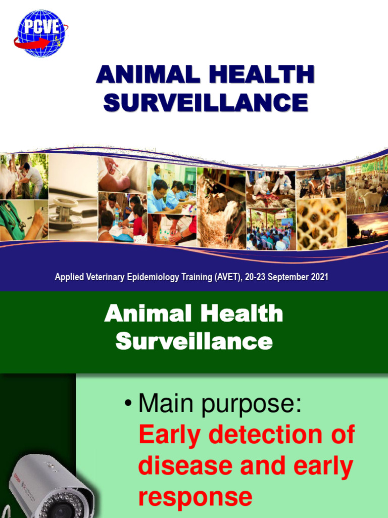 Animal Health Surveillance Overview | PDF | Surveillance | Risk