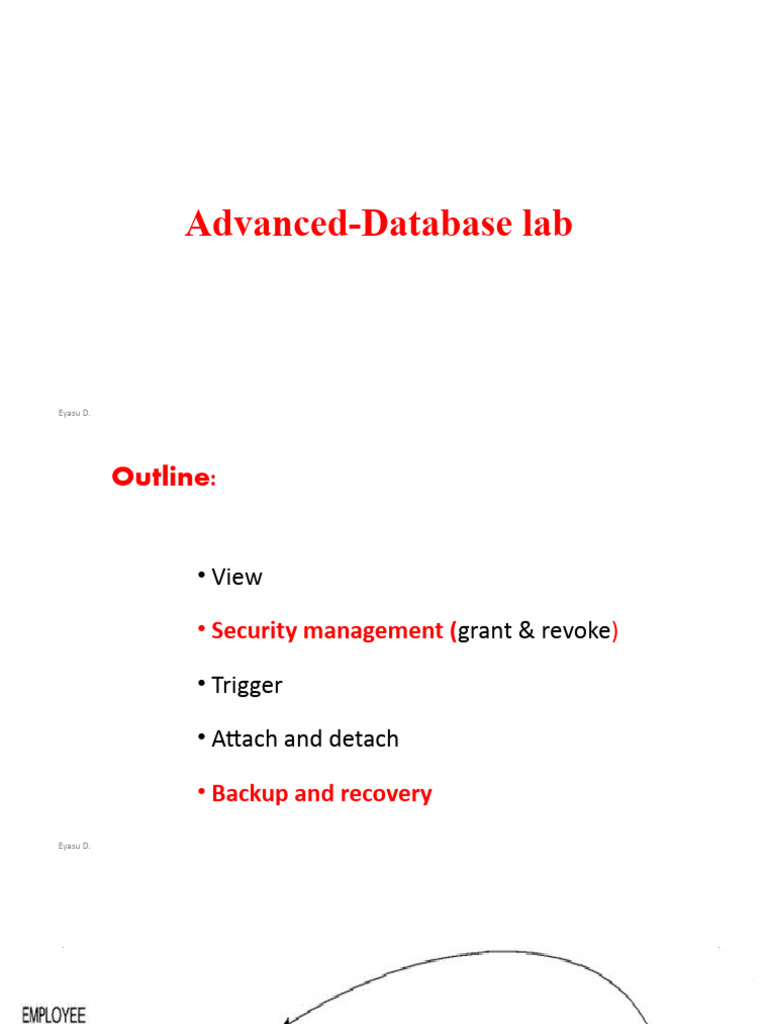 Advanced Database Lab Pdf Databases Information Technology Management
