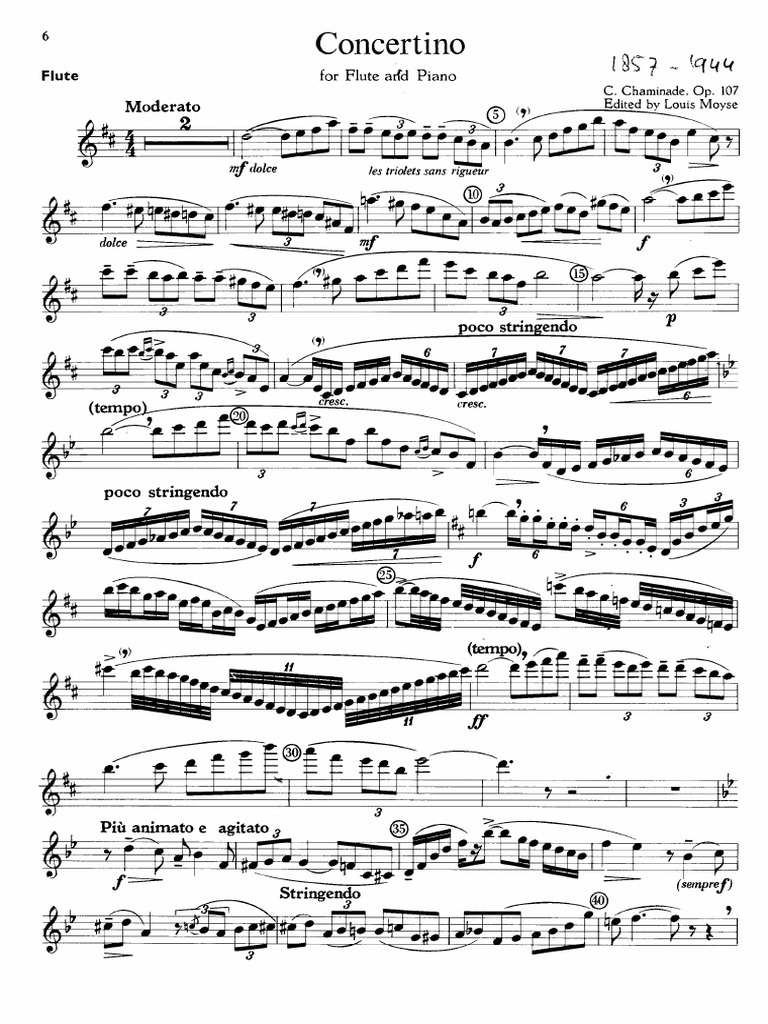 Chaminade Flute Concertino Op. 107 | PDF | Musical Forms | Elements Of ...