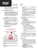 The Respiratory System Oxygen: My Dear, It's Elementary | PDF