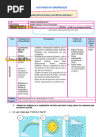 Laminas Descriptivas | PDF | Aprendizaje