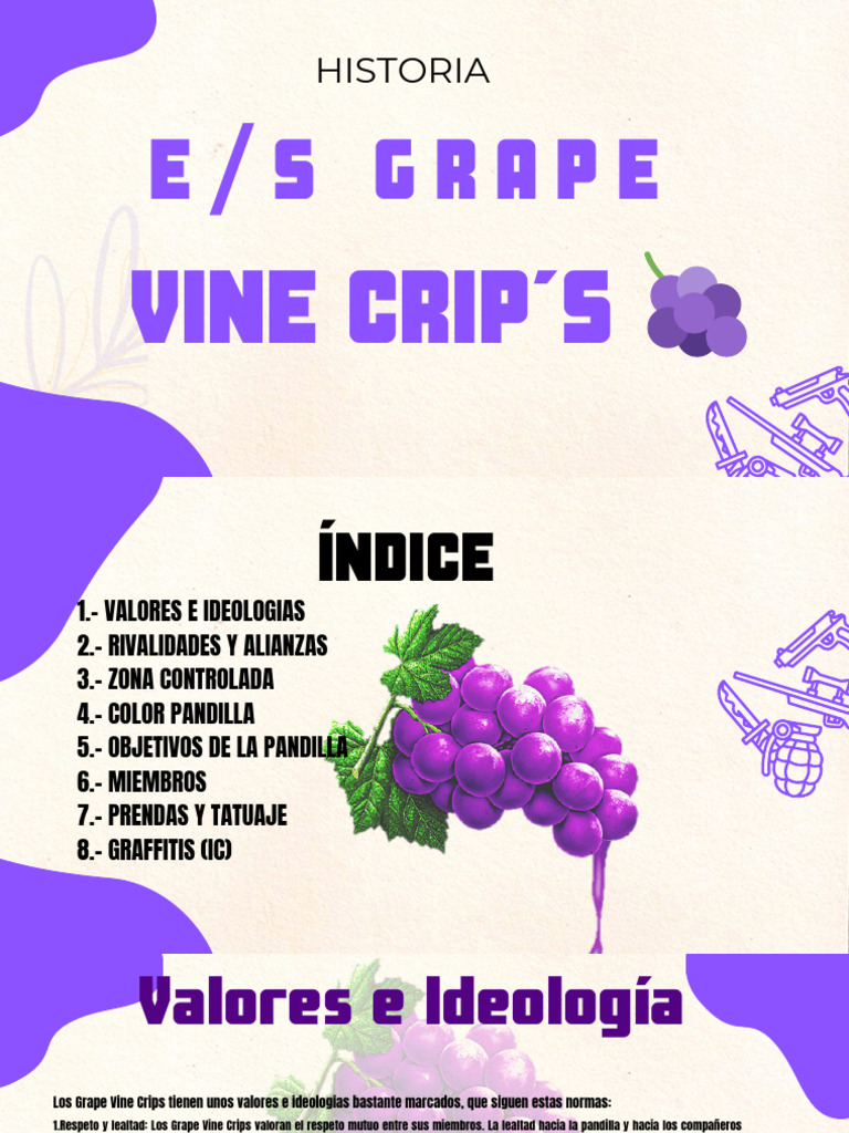 Significado de los Grape Vine Crips | PDF | Pandilla