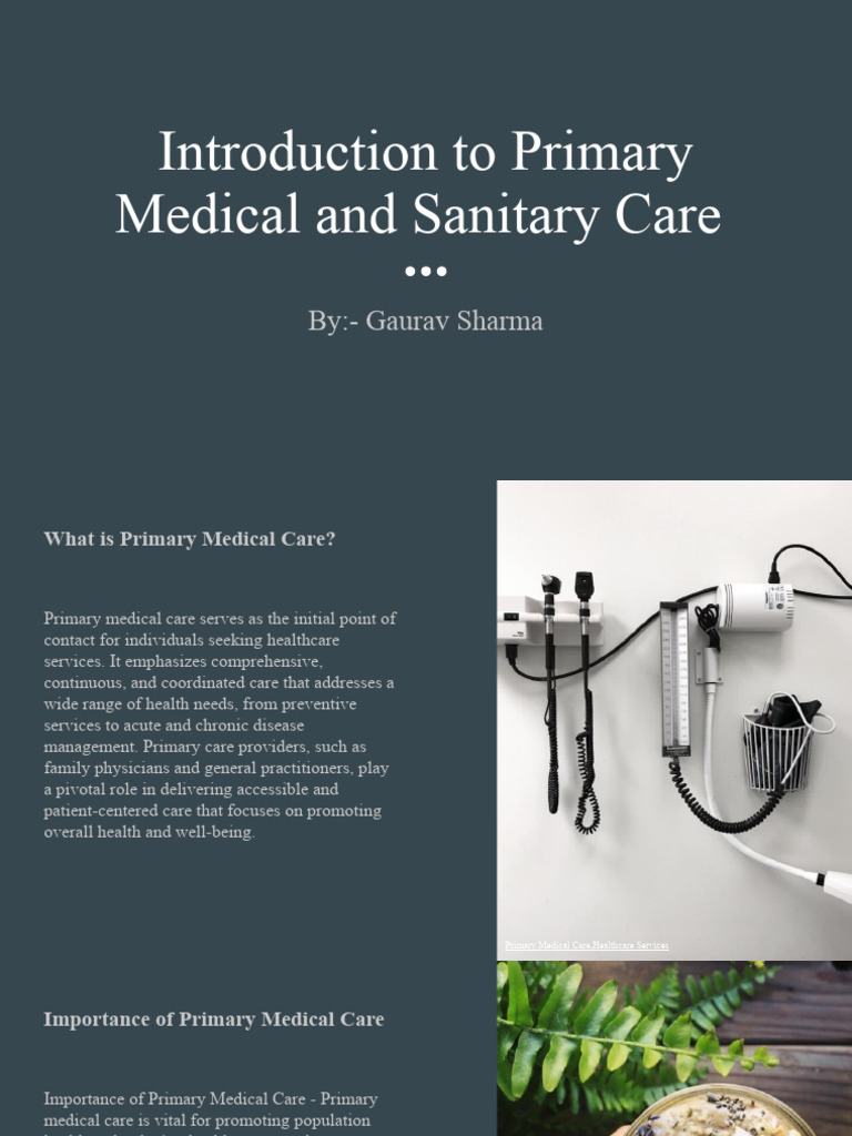 Great theory | PDF | Health Care | Primary Care