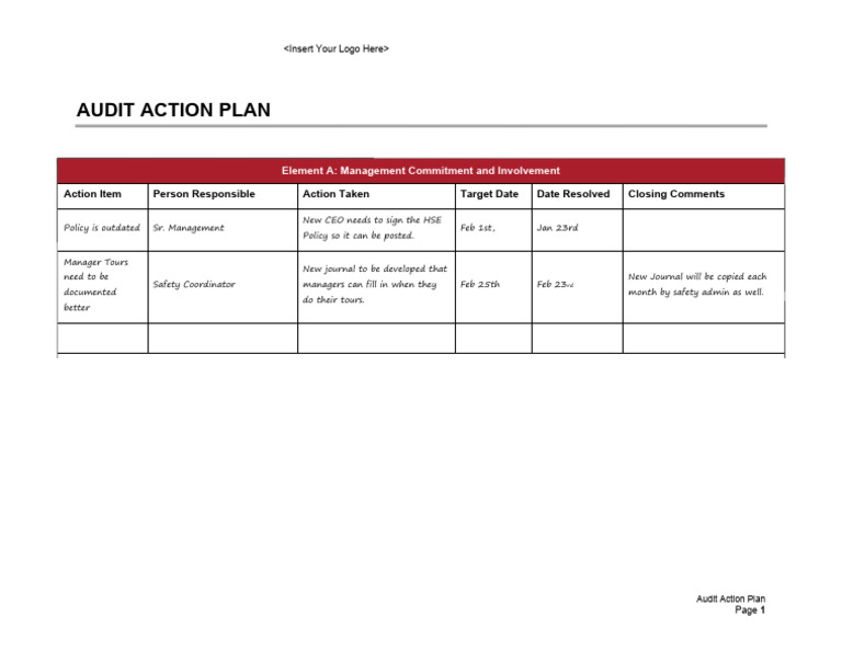 Audit Action Plan Template | PDF