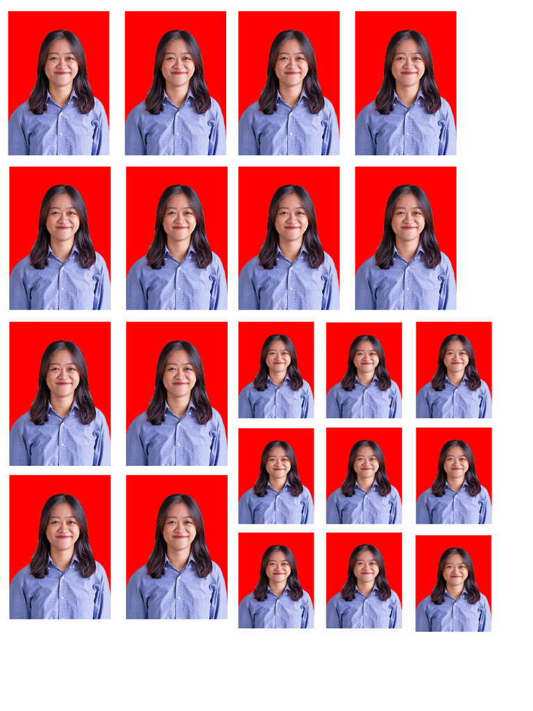 Ela Foto | PDF