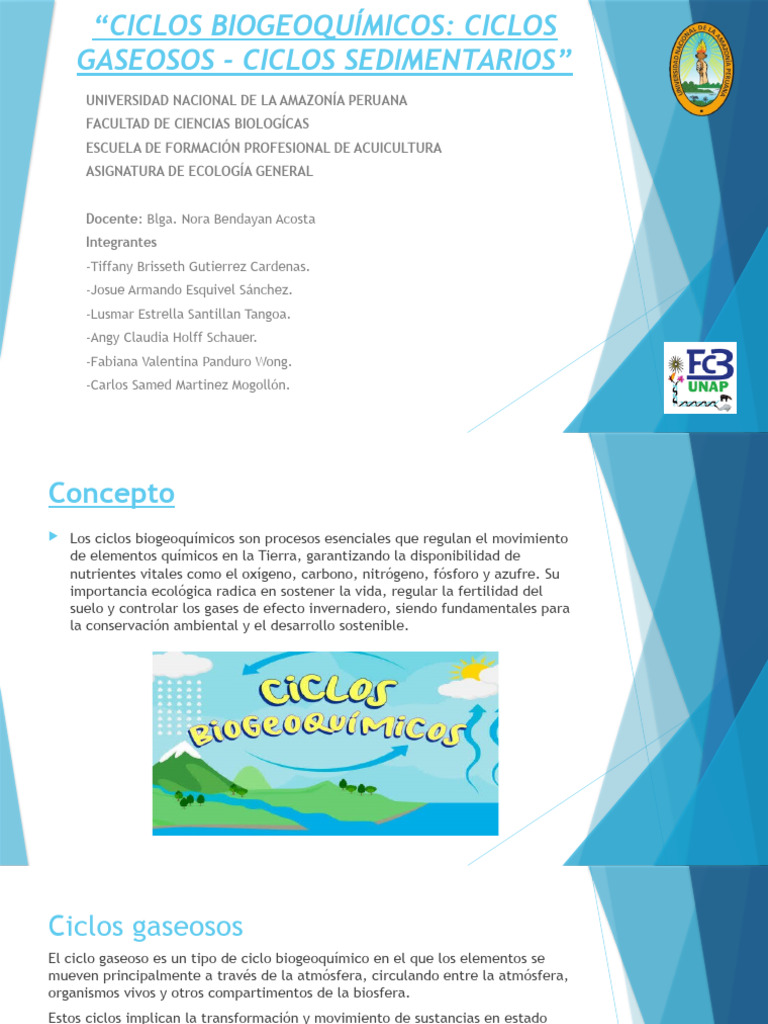 Ciclos Biogeoquímicos Ciclos Gaseosos - Ciclos Sedimentarios - Grupo 1 ...