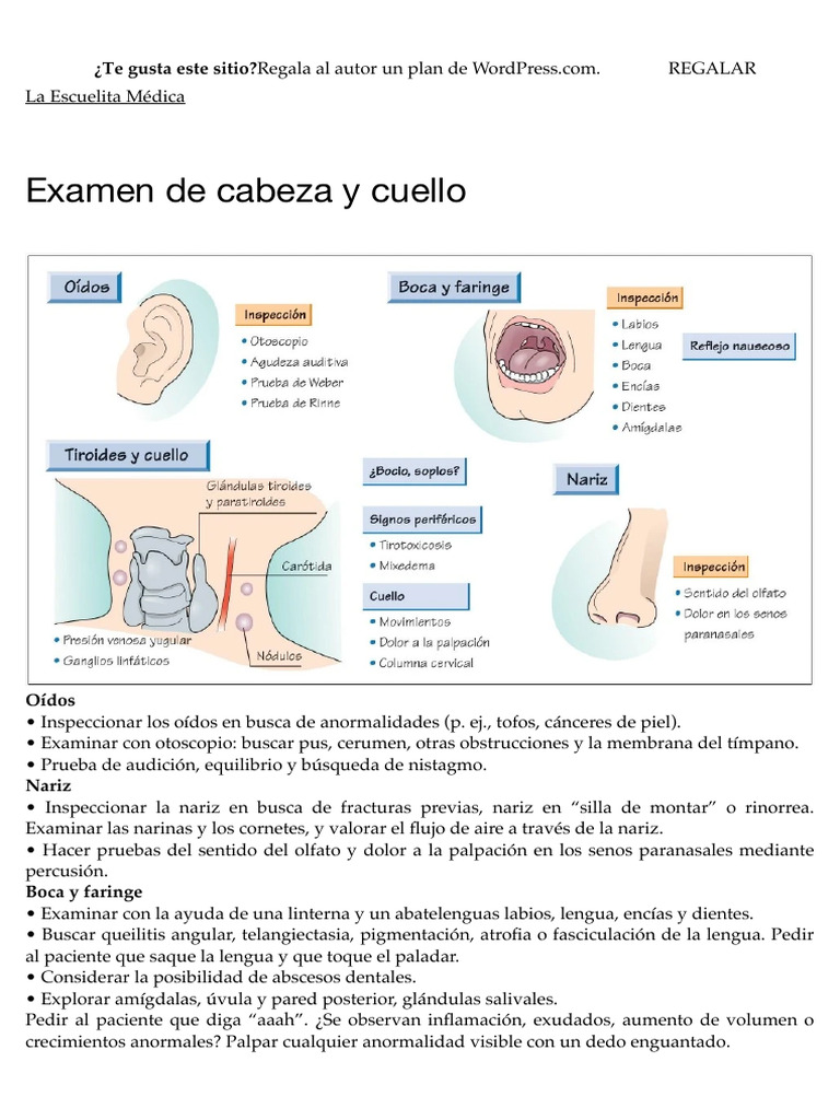Examen de Cabeza y Cuello - La Escuelita Médica | Descargar gratis PDF | Tiroides | Cabeza y ...