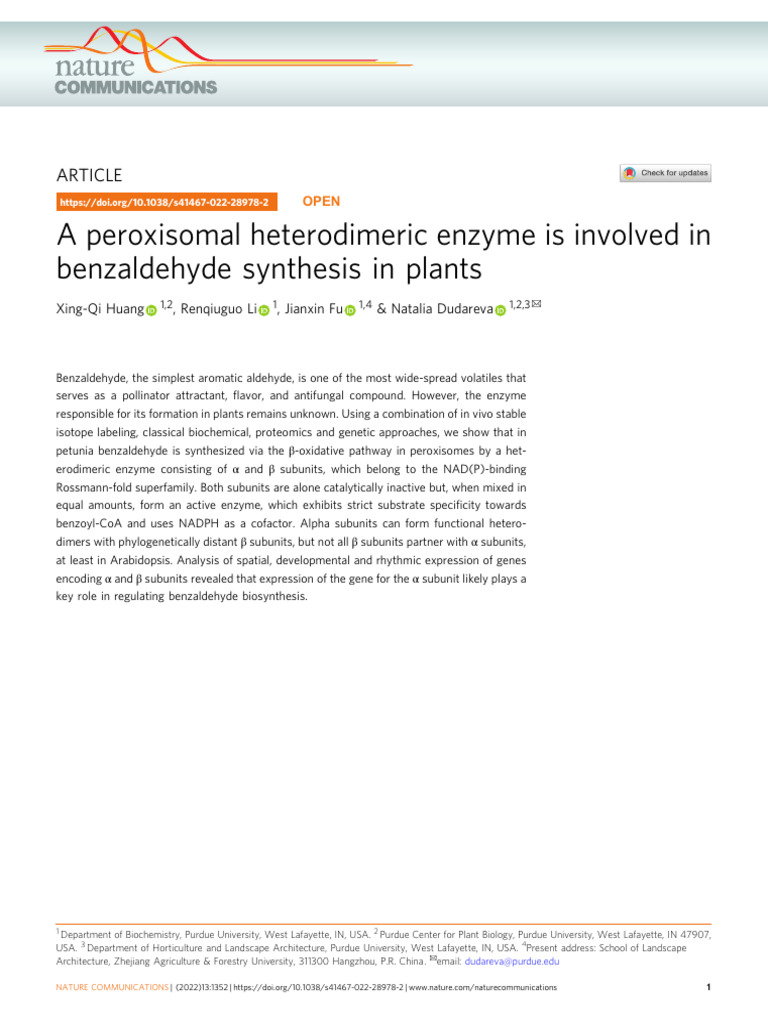 Plant Benzaldehyde Synthesis Enzyme | PDF | Protein Purification ...