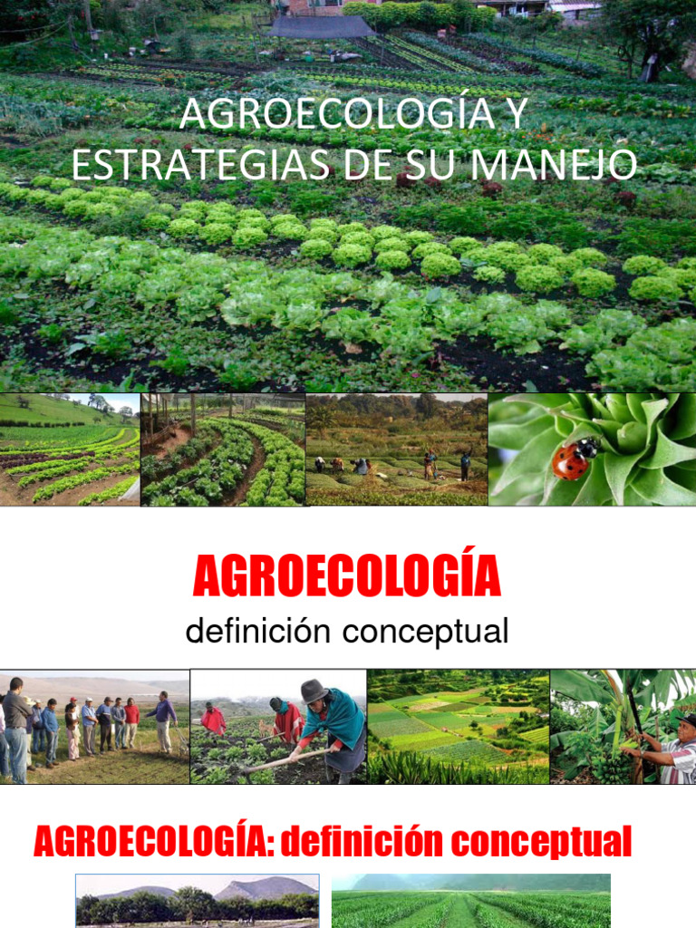 Planificación Agroecológica y Estrategias de Su Manejo | PDF ...