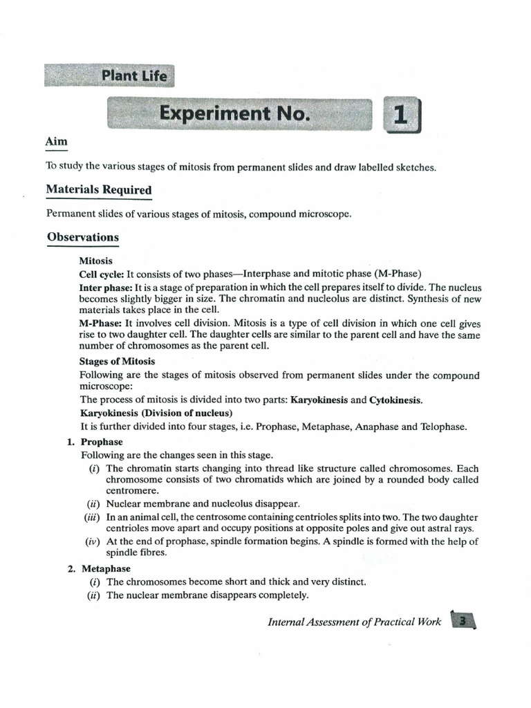 Grade 10 Biology Practical | PDF