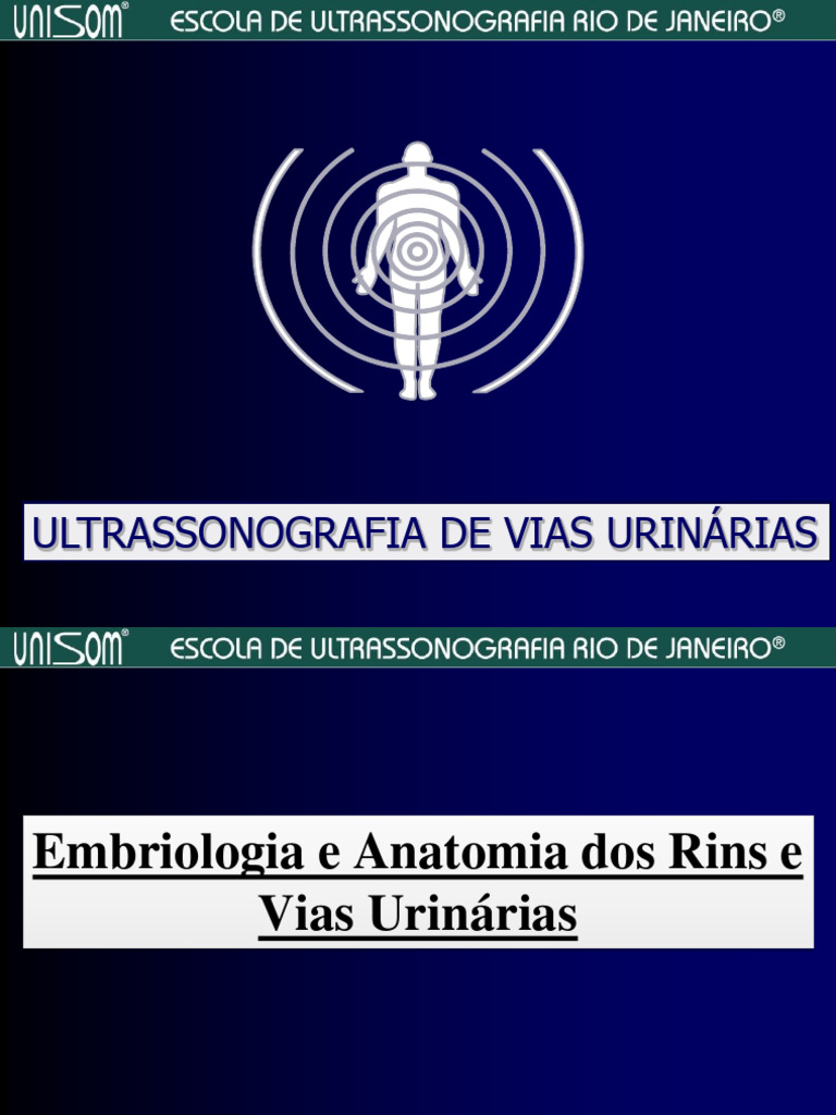 Rins e Vias Urinárias Patologias_2024 | PDF | Rim | Especialidades médicas