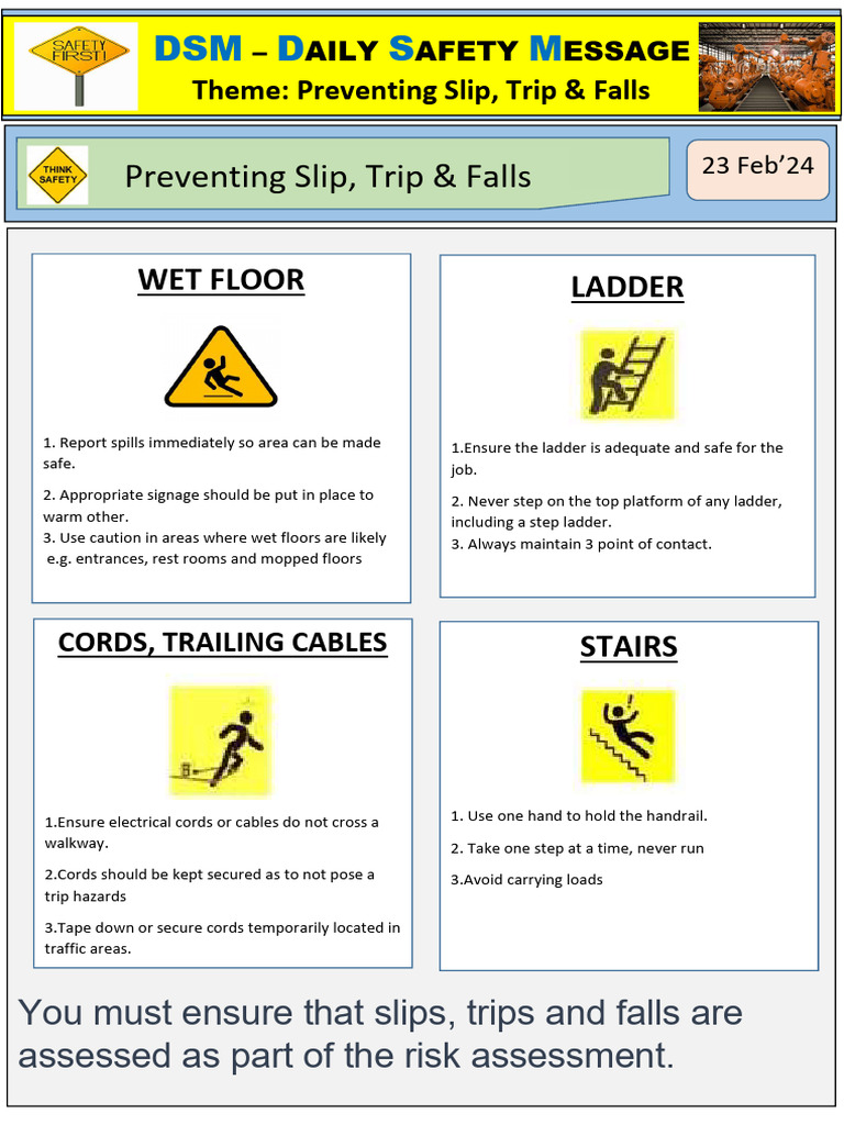 Preventing Slip, Trip & Falls: DSM D S M | PDF