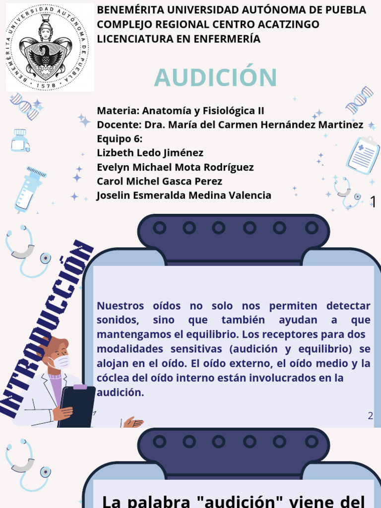 Anatomía del Oído y Audición | PDF | Oído | Sonido