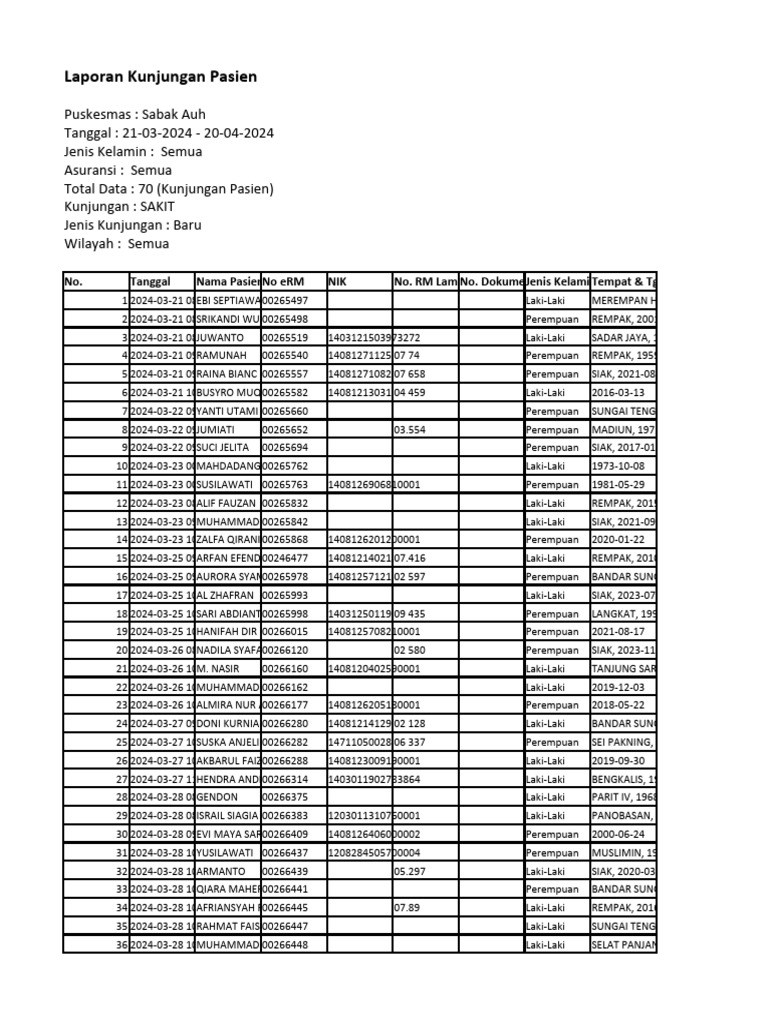 Laporan Kunjungan Pasien Sabak Auh | PDF