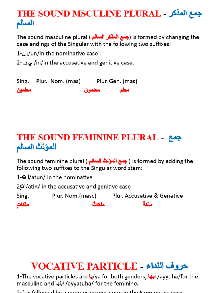 Arabic Plural Forms & Vocative Particles | PDF