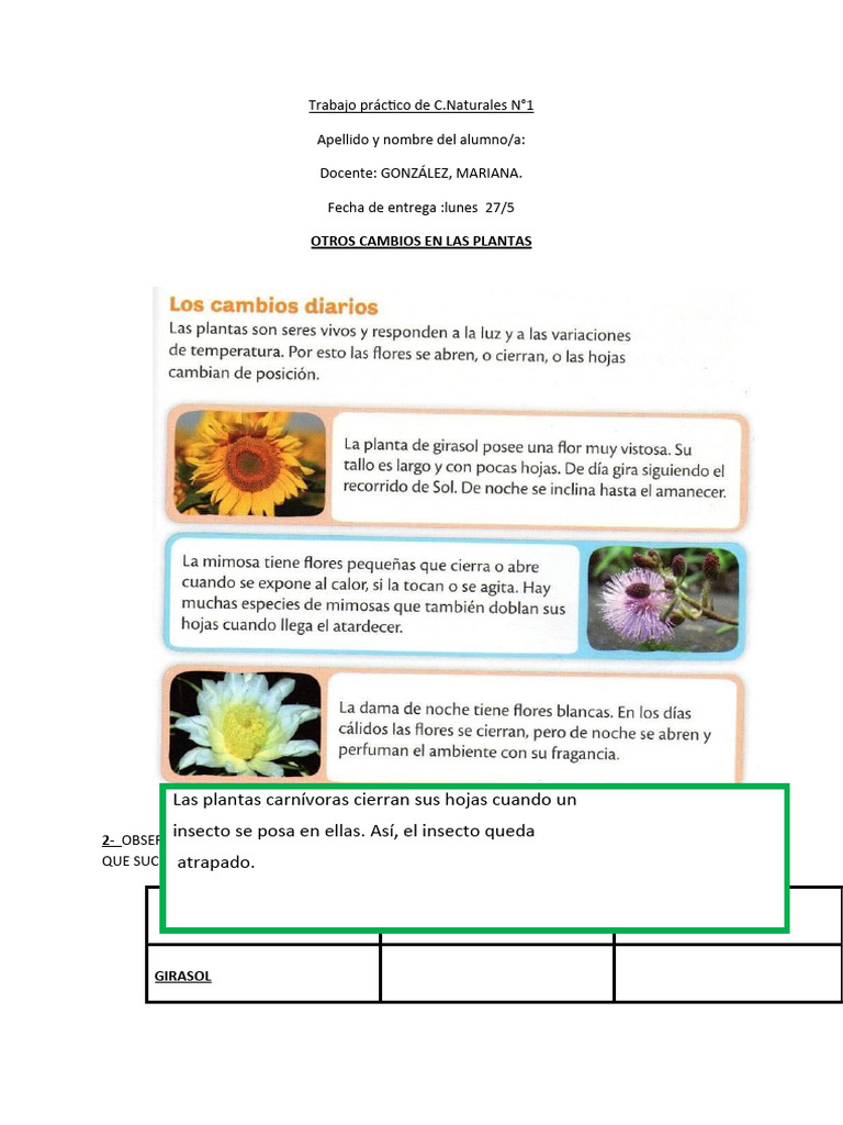 Cambios en las Plantas: Tipos y Ciclos | PDF | Plantas | Temporada de ...