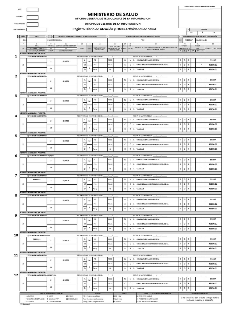 His Formato | PDF | Salud mental | Cuidado de la salud