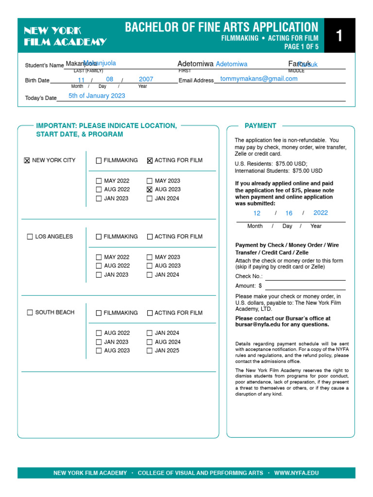 BFA Film Acting Application Form | PDF
