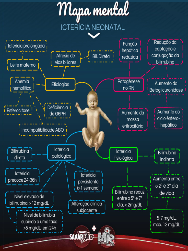 Mapa Mental Icterícia Neonatal | PDF