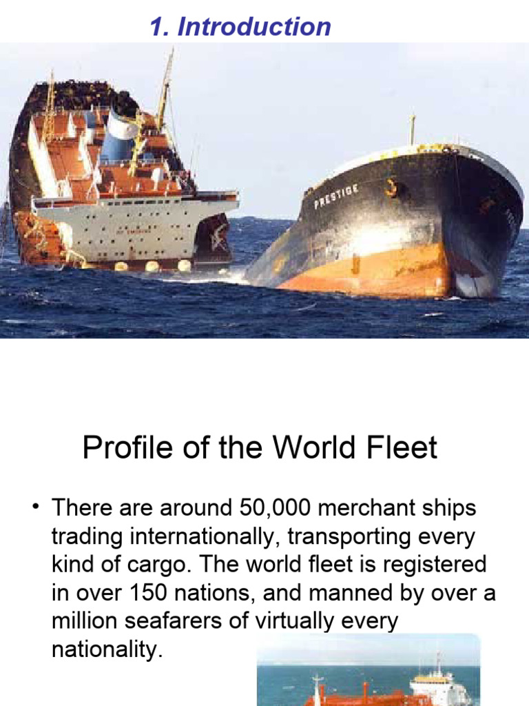 Overview of Global Shipping Fleet | PDF | Oil Tanker | Ships