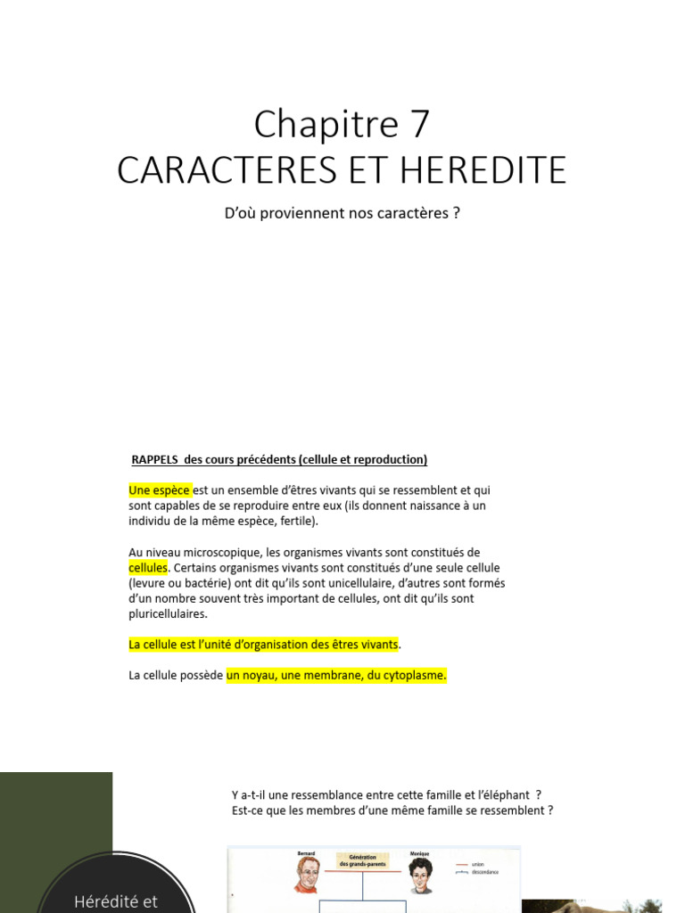 Caractères héréditaires et ADN | PDF | Chromosome | Hérédité