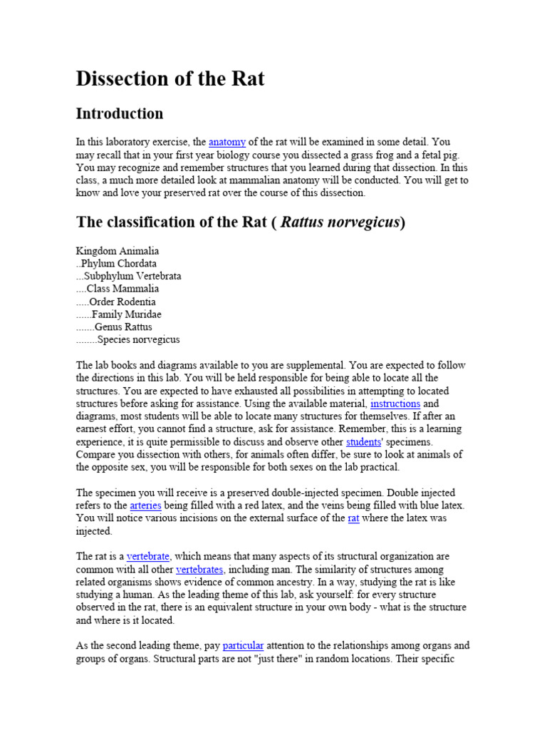Dissection of The Rat | PDF | Aorta | Large Intestine