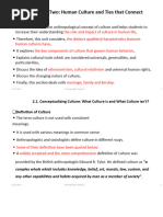 Understanding Human Culture Dynamics | PDF | Kinship | Family