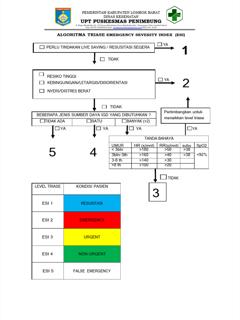 Algoritma Triase | PDF