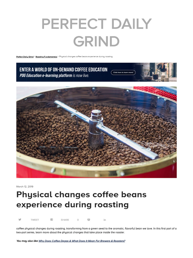 Physical Changes Coffee Beans Experience During Roasting - PDG | PDF | Chemistry | Materials