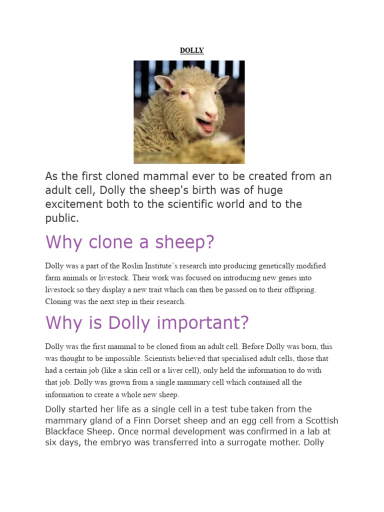 Dolly the Sheep: First Cloned Mammal | PDF | Medical Specialties | Biology