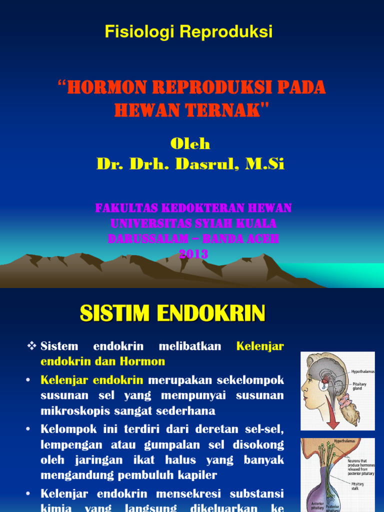 Kul 10 Hormon-Hormon Reproduksi | PDF