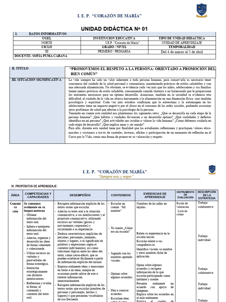 Unidad de Aprendizaje #1° 2024 | PDF | Aprendizaje | Evaluación