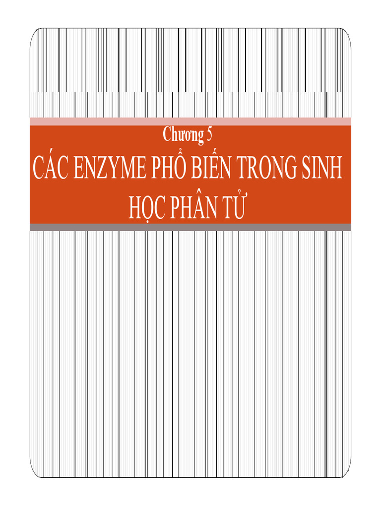4 SHPT - Enzyme Thông D NG | PDF