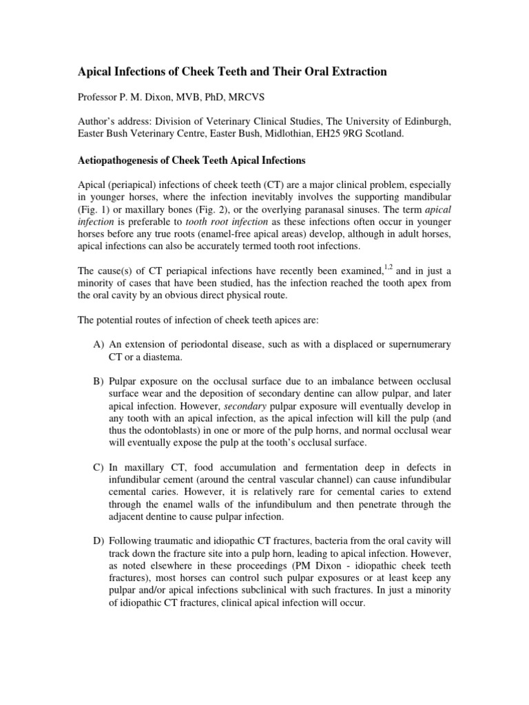 Apical Infections of Cheek Teeth and Their Oral Extraction | PDF ...