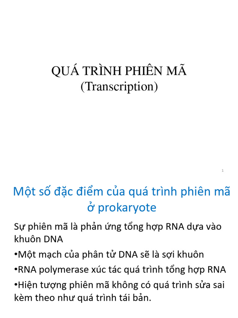 6 SHPT - Phien Mã | PDF