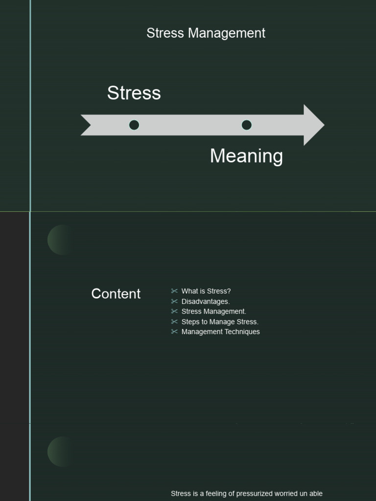 Effective Stress Management Techniques | PDF