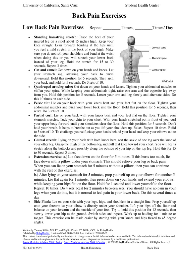 HC 869 Back Pain Exercises | PDF | Elbow | Abdomen